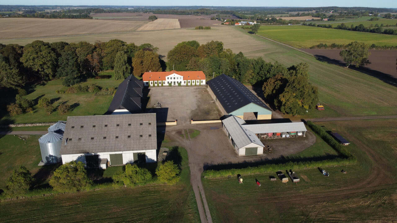Fra byboere til fjerde generation på Frederiks-Eg | Patriotisk Selskab